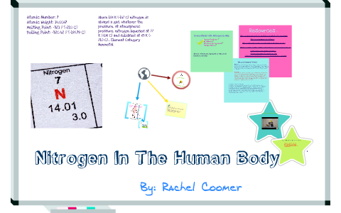 Nitrogen In The Body by Rachel Coomer on Prezi