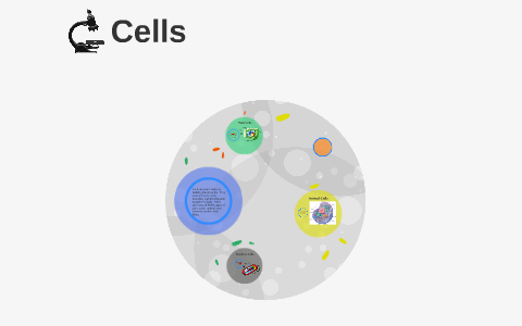 Cells by Joe Rubano on Prezi