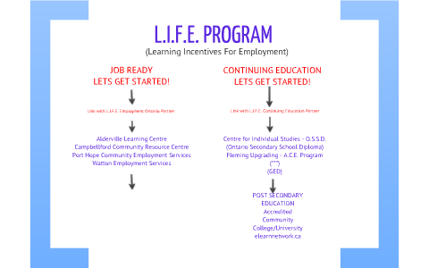 life flow chart by lynn eves on Prezi