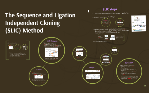 The Sequence and Ligation Independent Cloning (SLIC) Method by clement ...