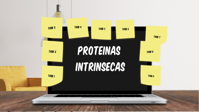 Proteínas Intrínsecas by sharity castro pilco on Prezi