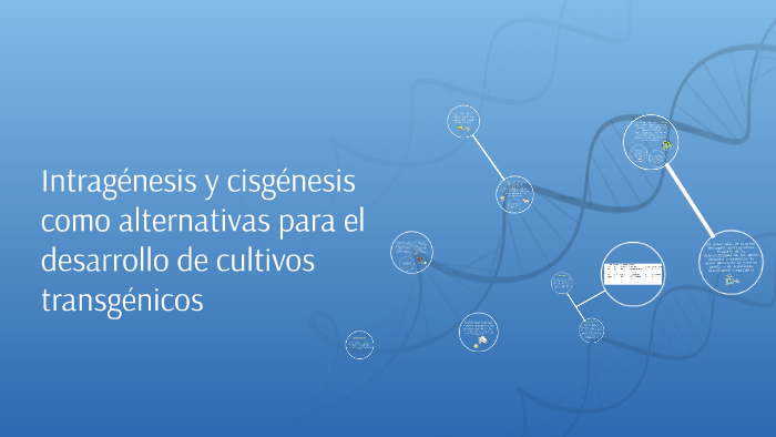 Intragénesis y cisgénesis como alternativas para el desarrollo de ...