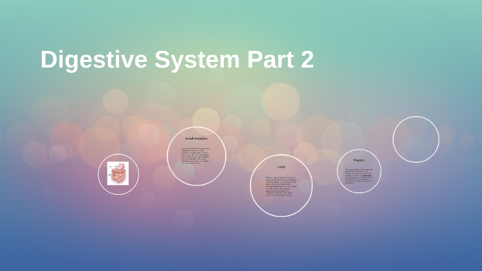 Digestive System Part 2 by Nathan Rhee on Prezi