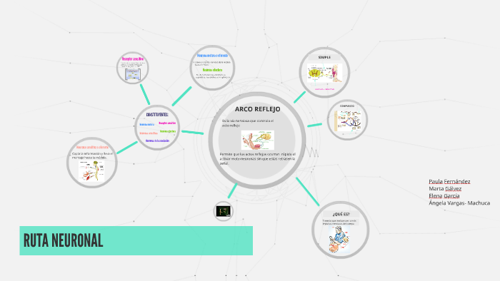 RUTA NEURONAL by Marta Gálvez on Prezi