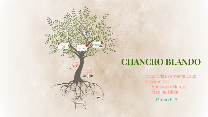 Qu Es El Chancro Blando O Chancroide Vacunas Para Viajar