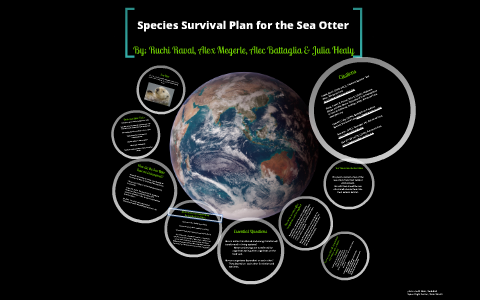 Species Survival Plan by Ruchi R. on Prezi