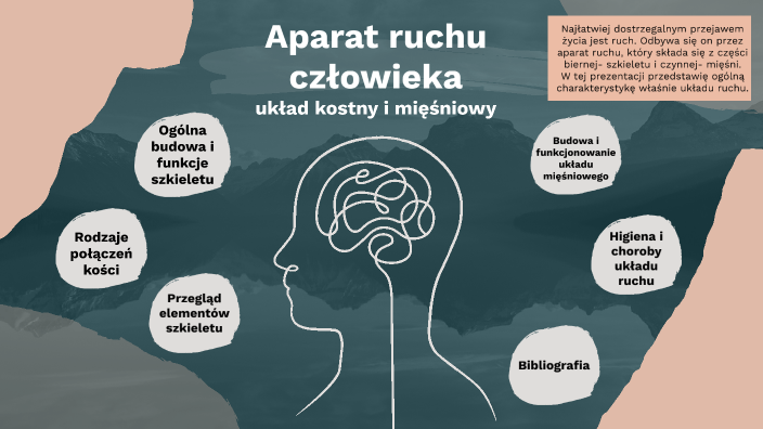 ,,Aparat ruchu człowieka- układ kostny i mięśniowy” by Martyna Kucz on ...