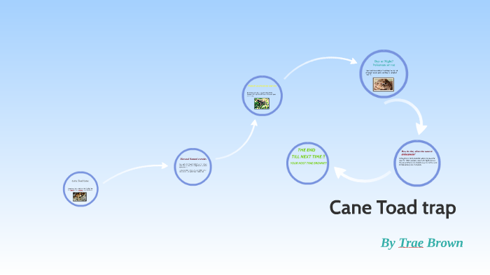 Cane Toad trap by Trae Brown on Prezi