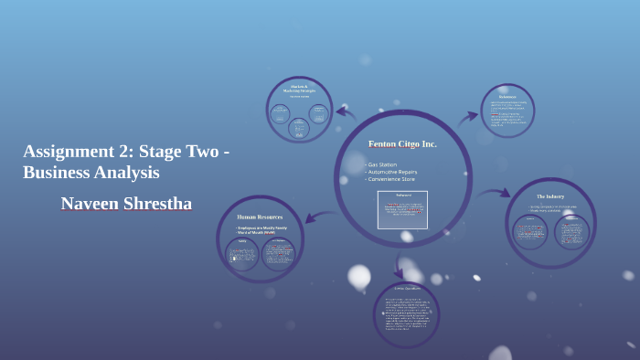 Assignment 2: Stage Two - Business Analysis by Naveen Shrestha