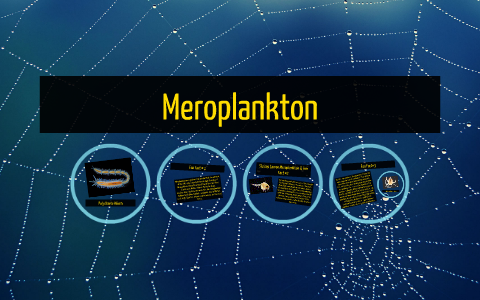 Meroplankton by Alejandro Restrepo on Prezi