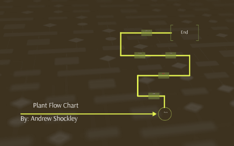 Animal flow chart by Mary Stevens on Prezi