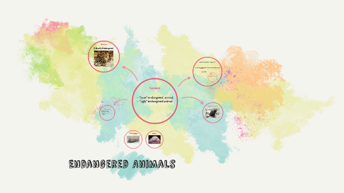 Endangered Animals by Garan Prüllau on Prezi