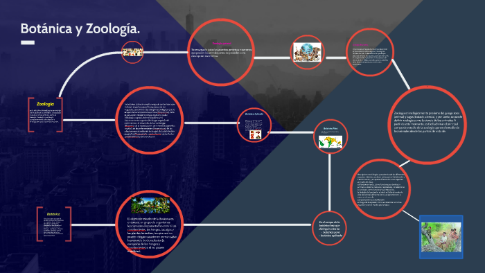 Botánica y Zoología. by mileydi puethman on Prezi