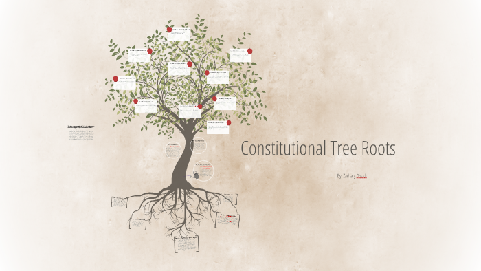 Constitutional Tree Roots by Zachary Dosick on Prezi