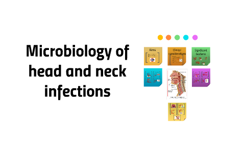Microbiology of head and neck infections by Prashanti M