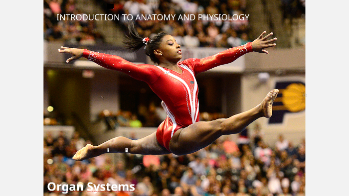 Intro to A & P by Lea Hoffman on Prezi