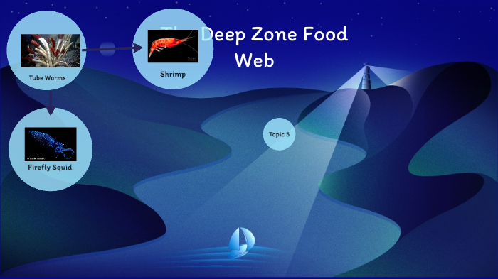 Food Web Poster by Jonathan He on Prezi