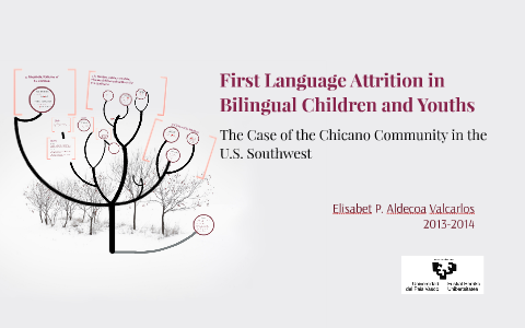 First Language Attrition in Bilingual Children and Youths by Elisabet ...