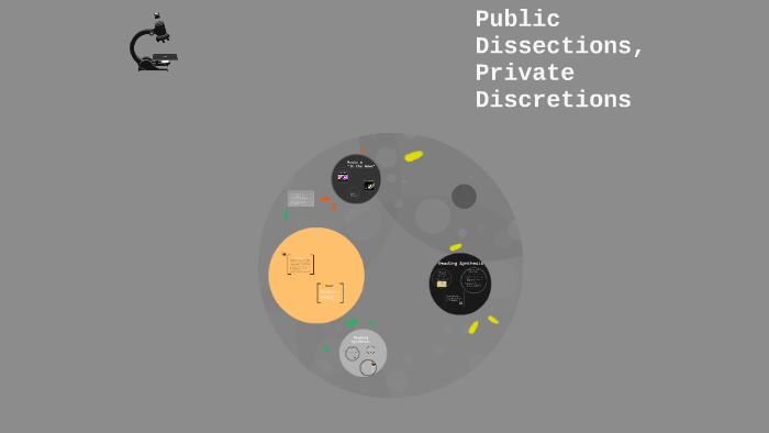 Public Dissections, Private Discretions by Dani Herman