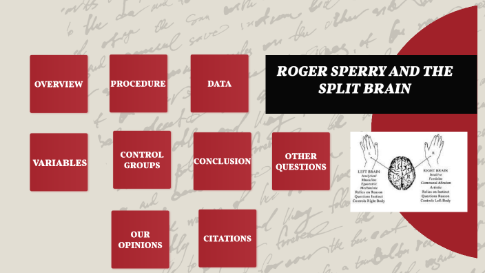 ROGER SPERRY AND THE SPLIT BRAIN by moneet grewal on Prezi