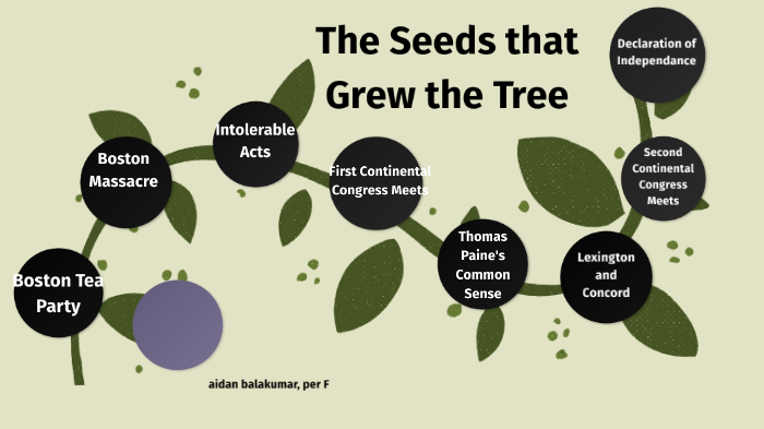 The Seeds that Grew the Tree by Aidan Balakumar on Prezi