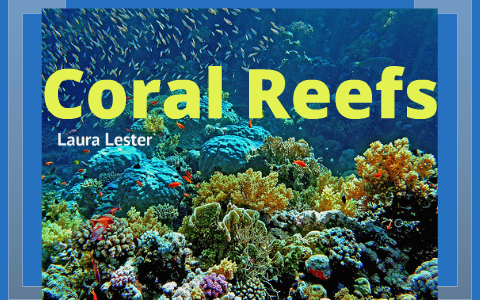 Coral Reef by Laura Lester on Prezi