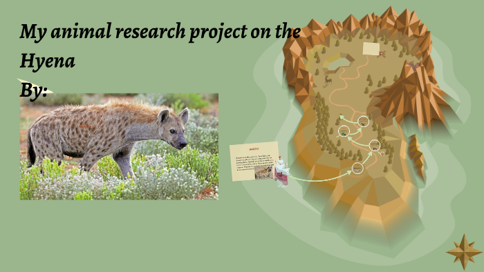 My animal research project on the hyena by:Yianni by Mrs Hoyano