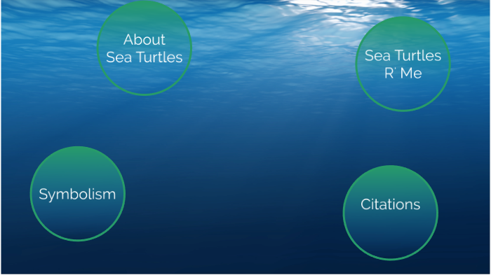 Life of Pi- Sea Turtles by Ryan Costa on Prezi