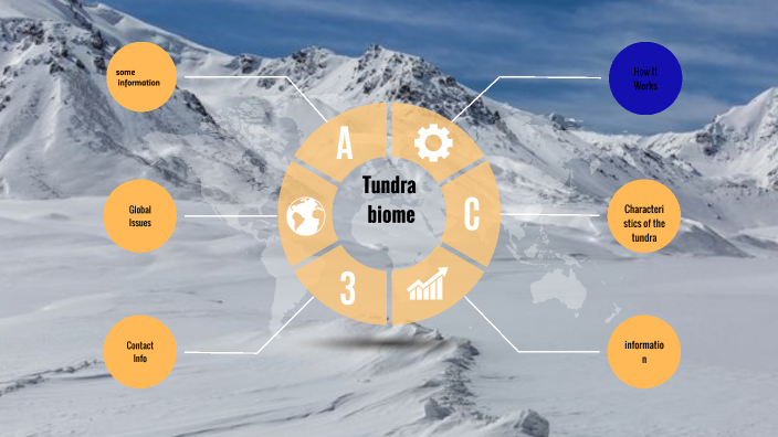 Tundra Biome project by Aaron Chilson on Prezi
