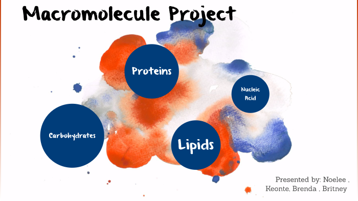 Macromolecule Project by Noelee Morgan on Prezi