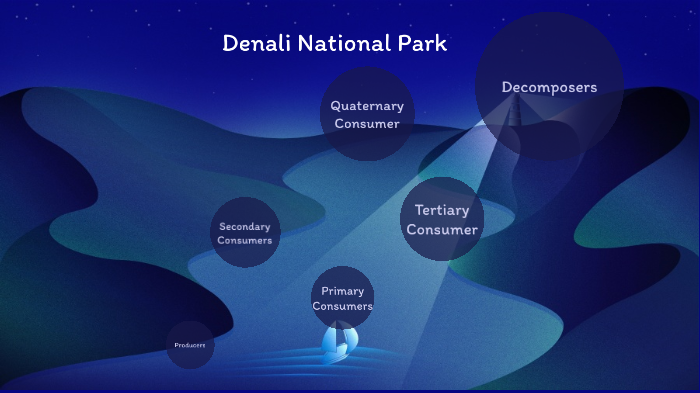 Denali National Park Food Web by Elpidios Han on Prezi