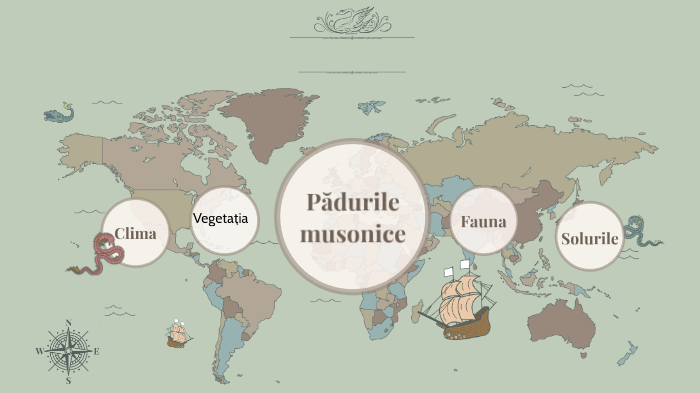 Pădurile musonice by Axente Geanina on Prezi