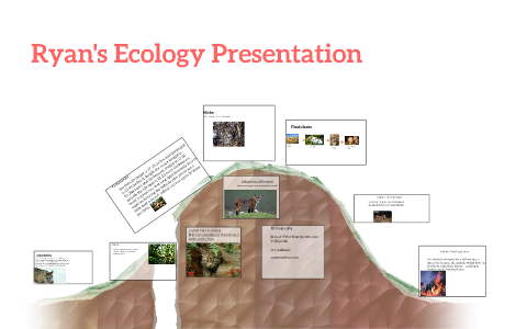 population by Ryan Ely on Prezi