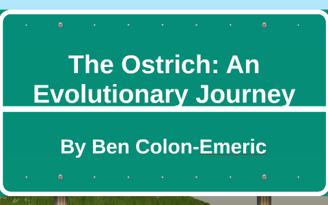 The Evolution of the Ostrich by Ben Colon-Emeric on Prezi