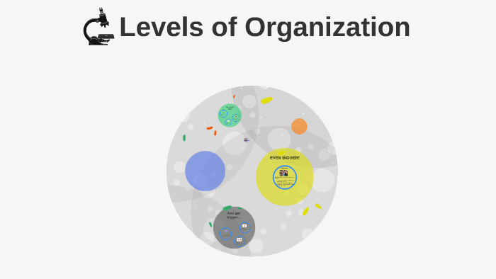 Levels of Organization by Emily A on Prezi