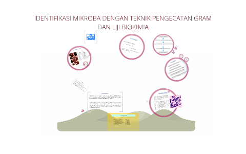 UJI PENGECATAN GRAM DAN BIOKIMIA by Nadya Relinasari on Prezi
