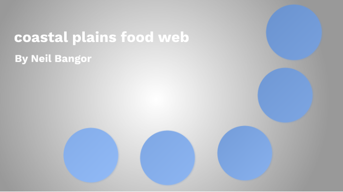 Coastal Prairie Food Chain