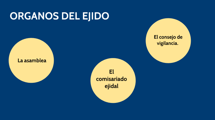 ORGANOS DEL EJIDO by adran garcia on Prezi