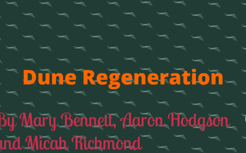 Dune Regeneration by Mary Bennett on Prezi