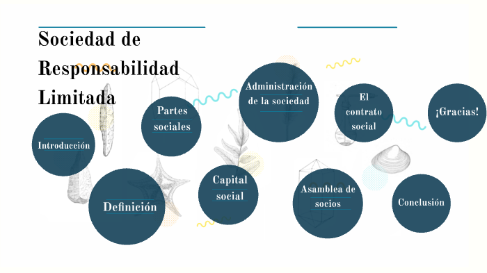 Sociedad de responsabilidad limitada by Ana Belen Julian on Prezi