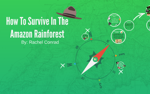 How To Survive In The Amazon Rainforest by Rachel Conrad on Prezi