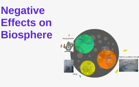 Negative Effects on Biosphere by on Prezi