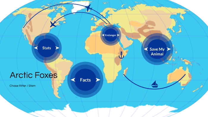 Arctic Fox by Chase Ritter on Prezi