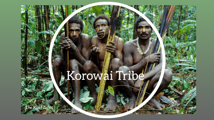 Korowai Tribe by christina brown on Prezi