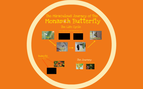The Miraculous Journey of the Monarch Butterfly by Joe C on Prezi