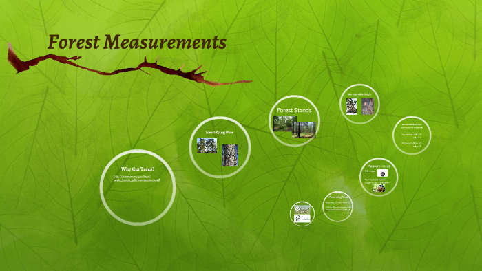 Forest Measurements by Christopher Longman on Prezi