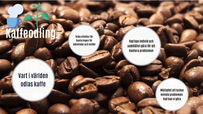 Kaffeodling by Melissa Ejremar on Prezi