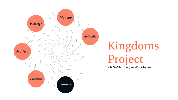 Kingdom Project by Eli Goldenberg on Prezi