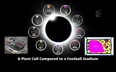 A Plant Cell Compared to a Football Stadium by on Prezi