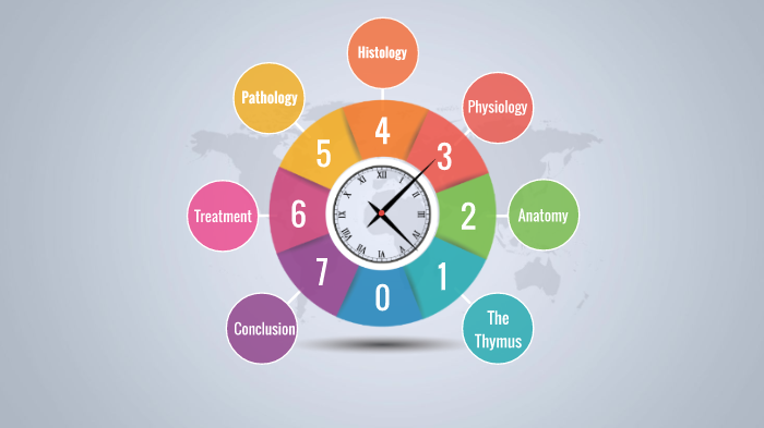 The thymome by Aurel Guedj on Prezi